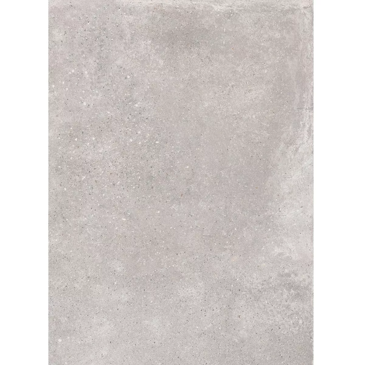 Sample Floor Tiles Stone Optic Platinum Grey 60x120 cm